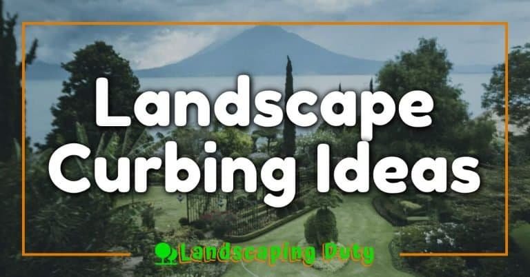 Landscape Curbing Ideas: Enhance Your Yard's Beauty