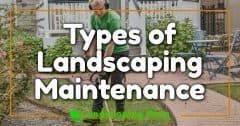 Types Of Landscaping Maintenance: A Friendly Guide