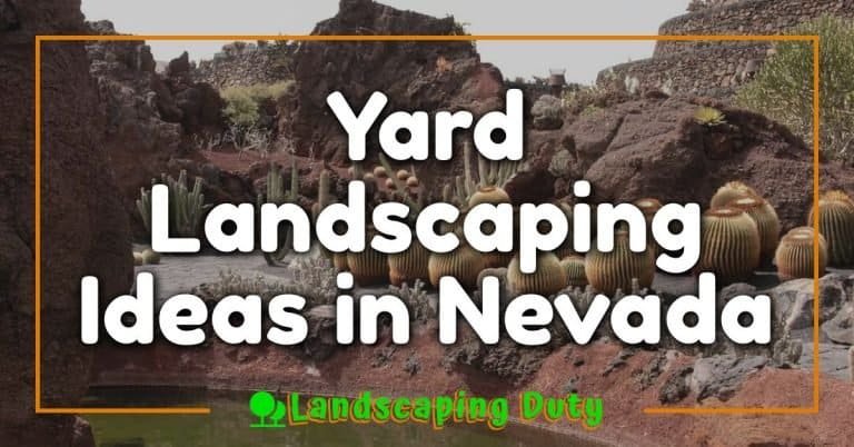 Yard Landscaping Ideas In Nevada: Your Guide To A Stunning Desert Oasis