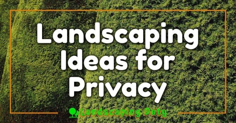 What Are The Elements Of Landscaping? A Beginner's Guide