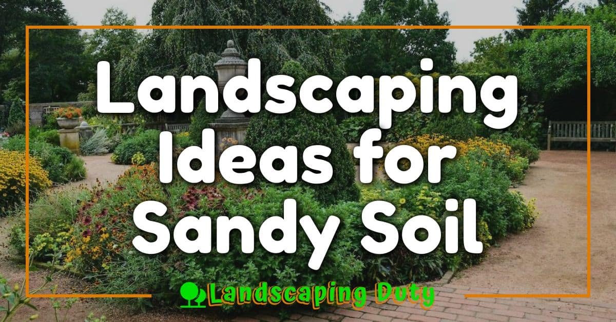 Landscaping Ideas After Removing A Swimming Pool Transform Your
