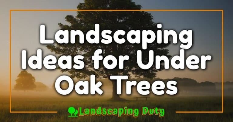 Landscaping Ideas For Under Oak Trees: Simple Yet Transformative Designs