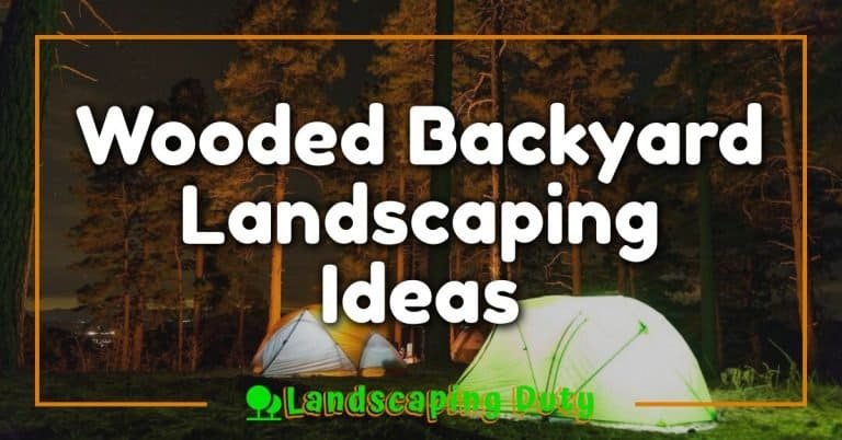 Wooded Backyard Landscaping Ideas: Turning Your Outdoor Space Into A ...