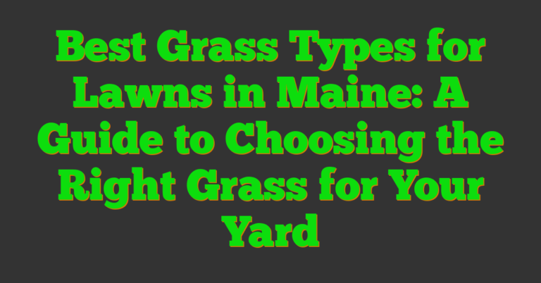 Best Grass Types For Lawns In Maine: A Guide To Choosing The Right ...