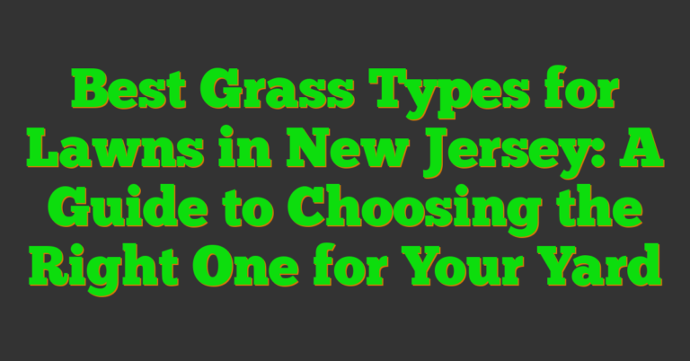 Best Grass Types For Lawns In New Jersey: A Guide To Choosing The Right ...