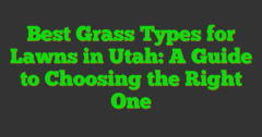 Best Grass Types For Lawns In Utah: A Guide To Choosing The Right One