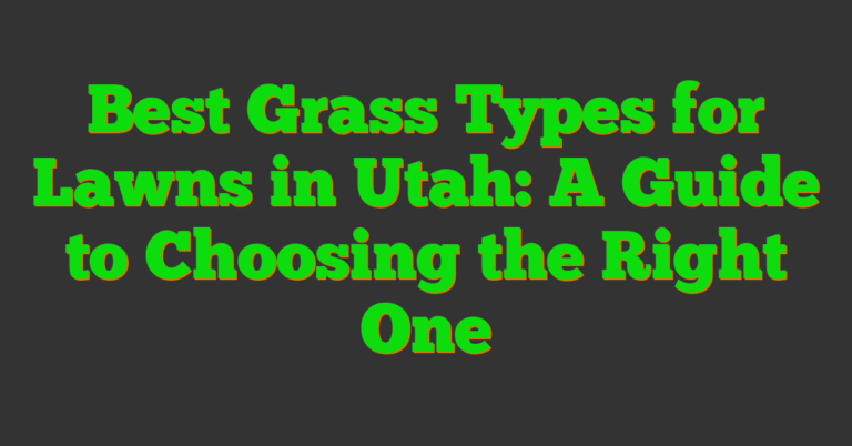 Best Grass Types For Lawns In Utah: A Guide To Choosing The Right One