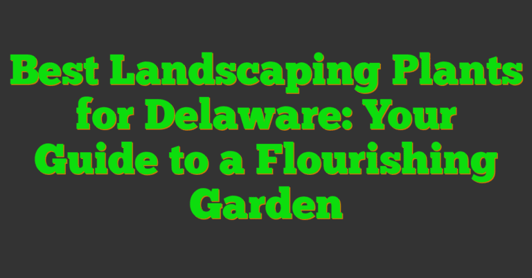 What Is Landscaping? A Friendly Guide For Beginners