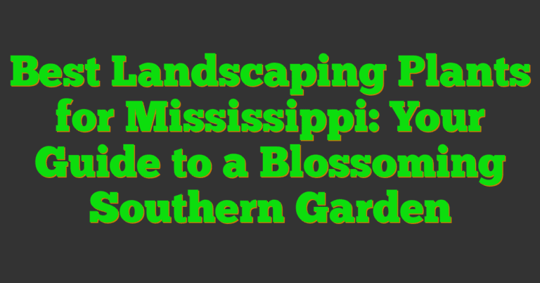 Landscaping Terms For Dummies: A Beginner's Guide To Understanding ...