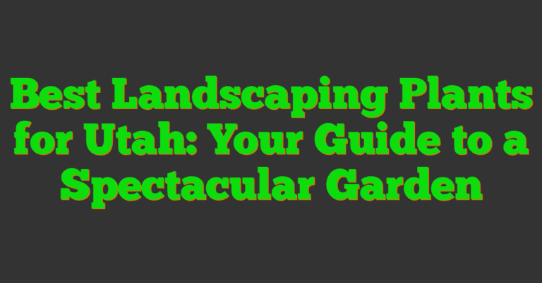 Landscaping Terms For Dummies: A Beginner's Guide To Understanding ...