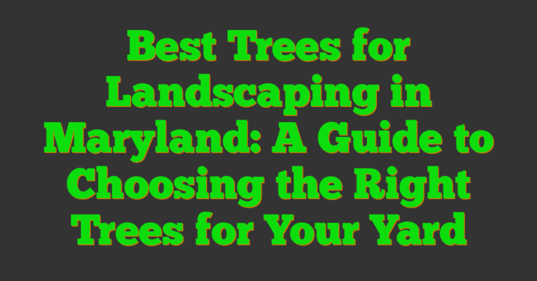 Best Trees For Landscaping In Maryland: A Guide To Choosing The Right ...