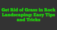 Get Rid Of Grass In Rock Landscaping: Easy Tips And Tricks