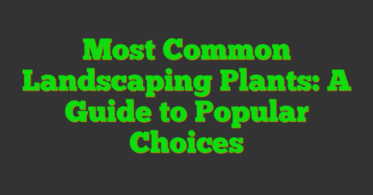 Most Common Landscaping Plants: A Guide To Popular Choices