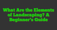 What Are The Elements Of Landscaping? A Beginner's Guide