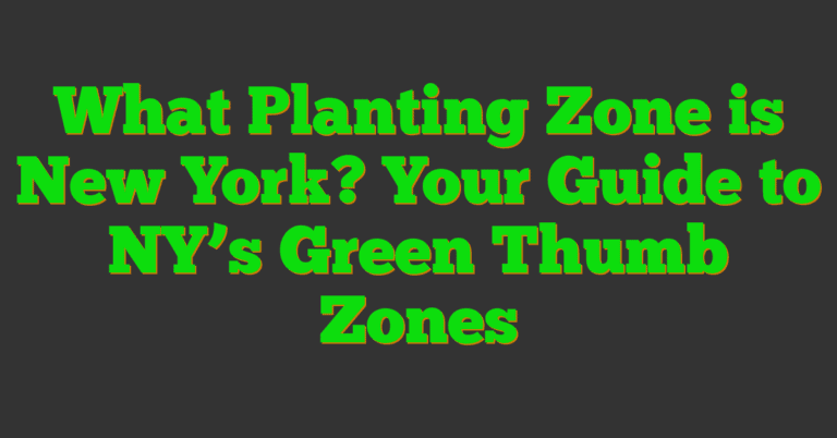 What Planting Zone Is New York? Your Guide To NY's Green Thumb Zones