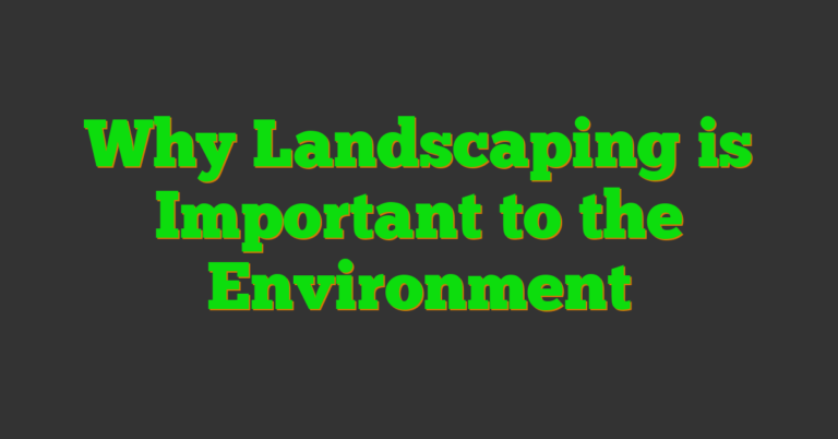 Why Landscaping Is Important To The Environment
