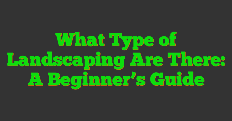 What Type Of Landscaping Are There: A Beginner's Guide