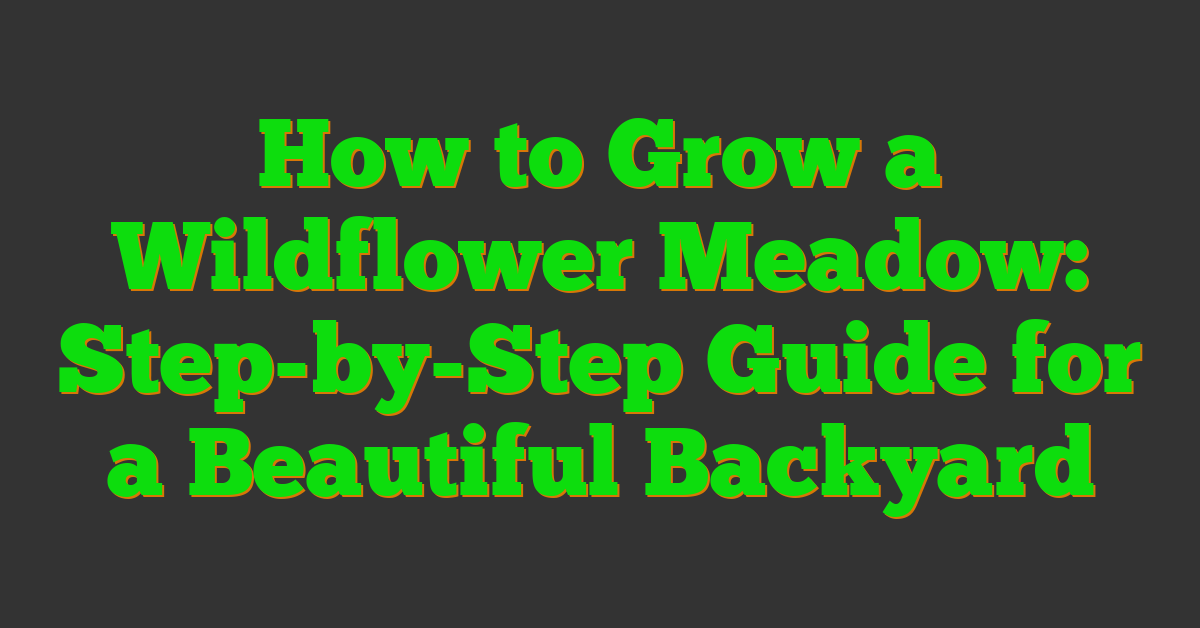 How To Grow A Wildflower Meadow: Step-by-Step Guide For A Beautiful Backyard